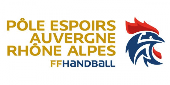 Ligue Aura Handball
